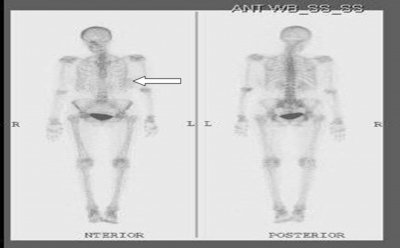 Internet Scientific Publications